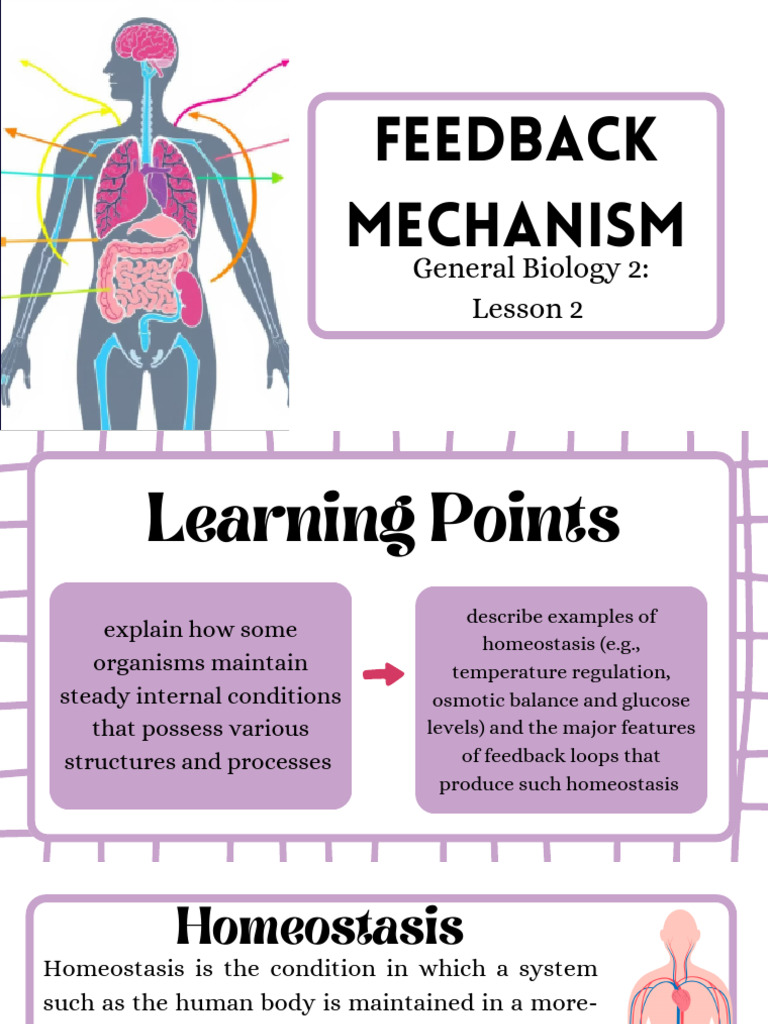 Homeostasis and Feedback Mechanisms | PDF | Homeostasis | Thermoregulation