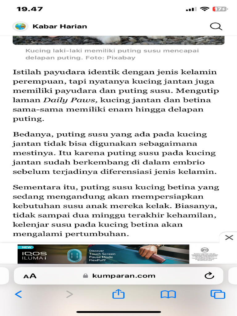 Dokumen 1 | PDF