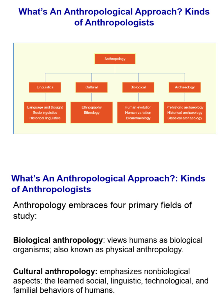 Four Subdivisions of Anthropology | PDF