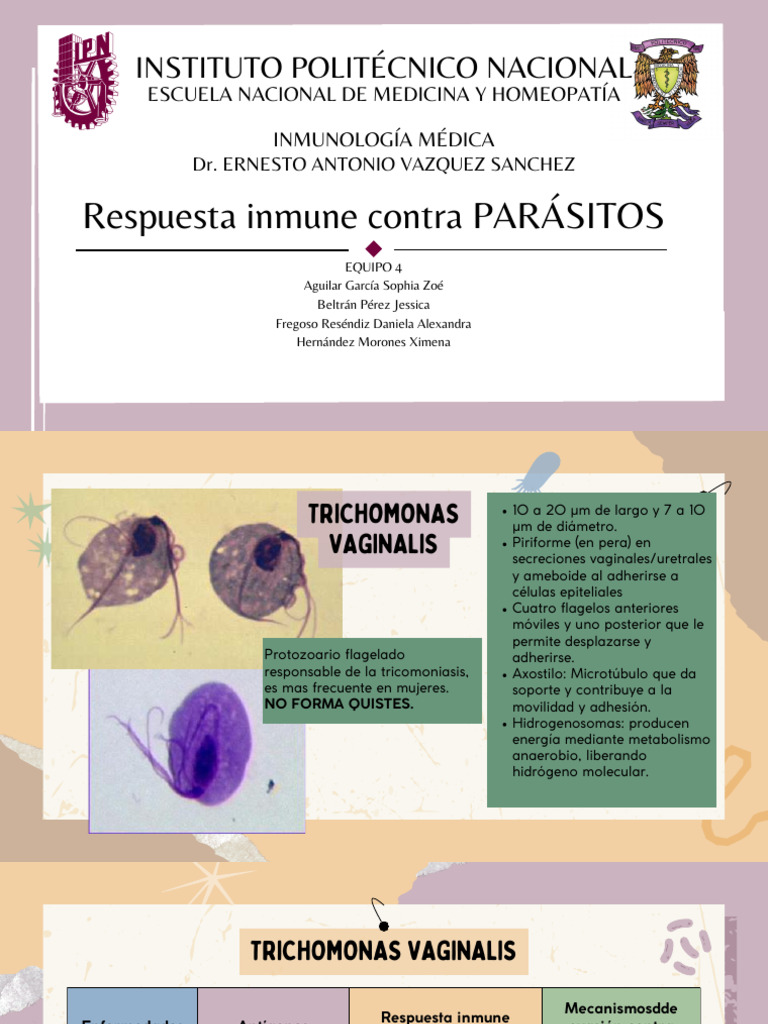 Sistema inmune vs Parásitos-Equipo 4_20241203_171207_0000 (1) | PDF | Sistema inmune | Citocina