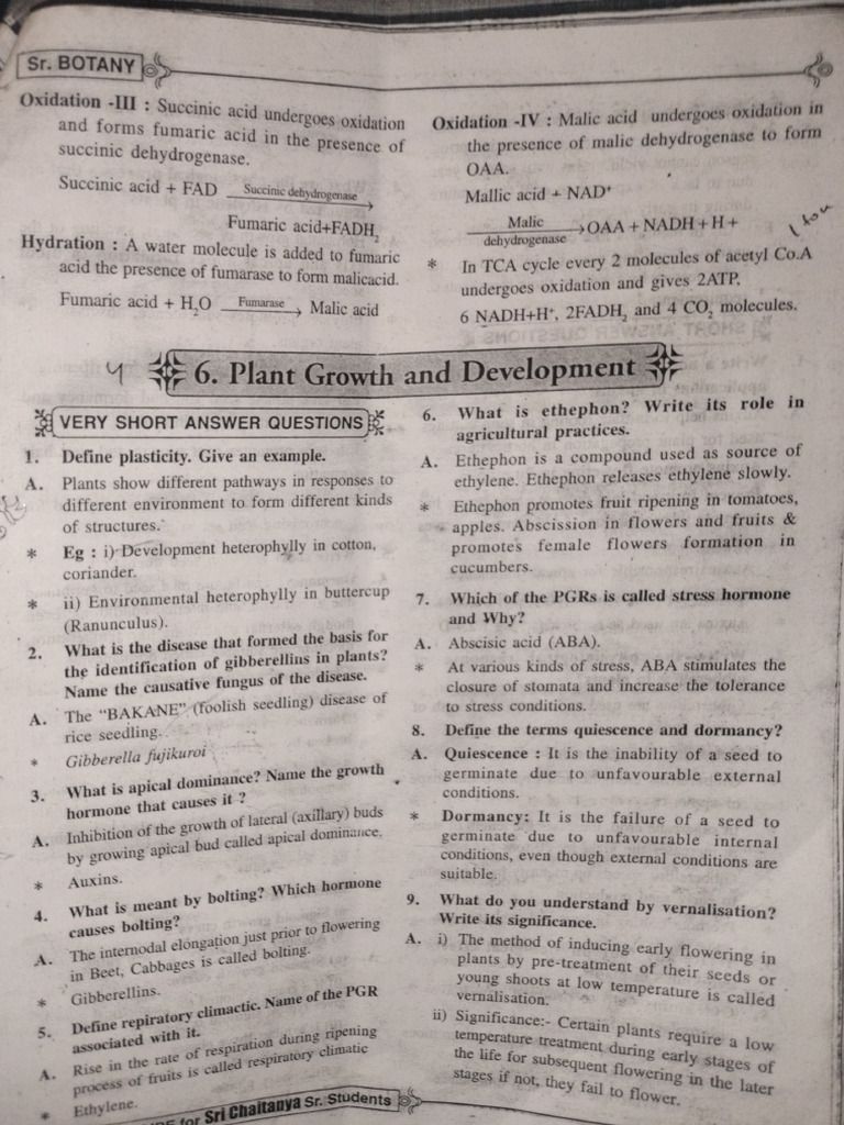 Botany Notes | PDF