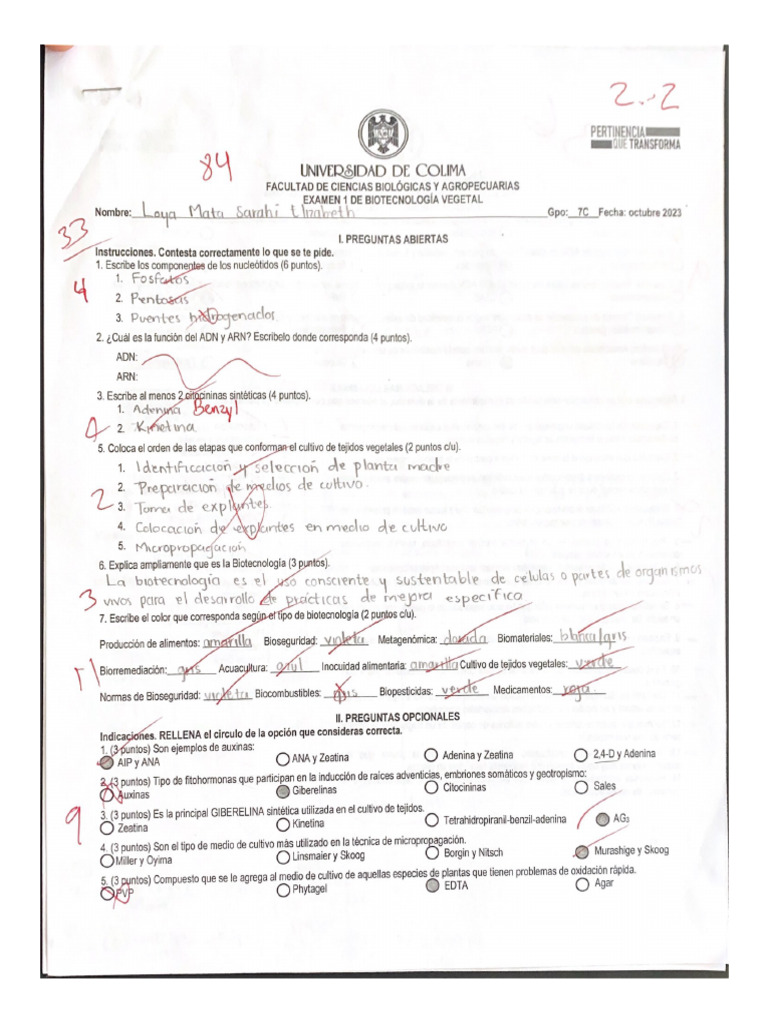 Ique Transforma | PDF