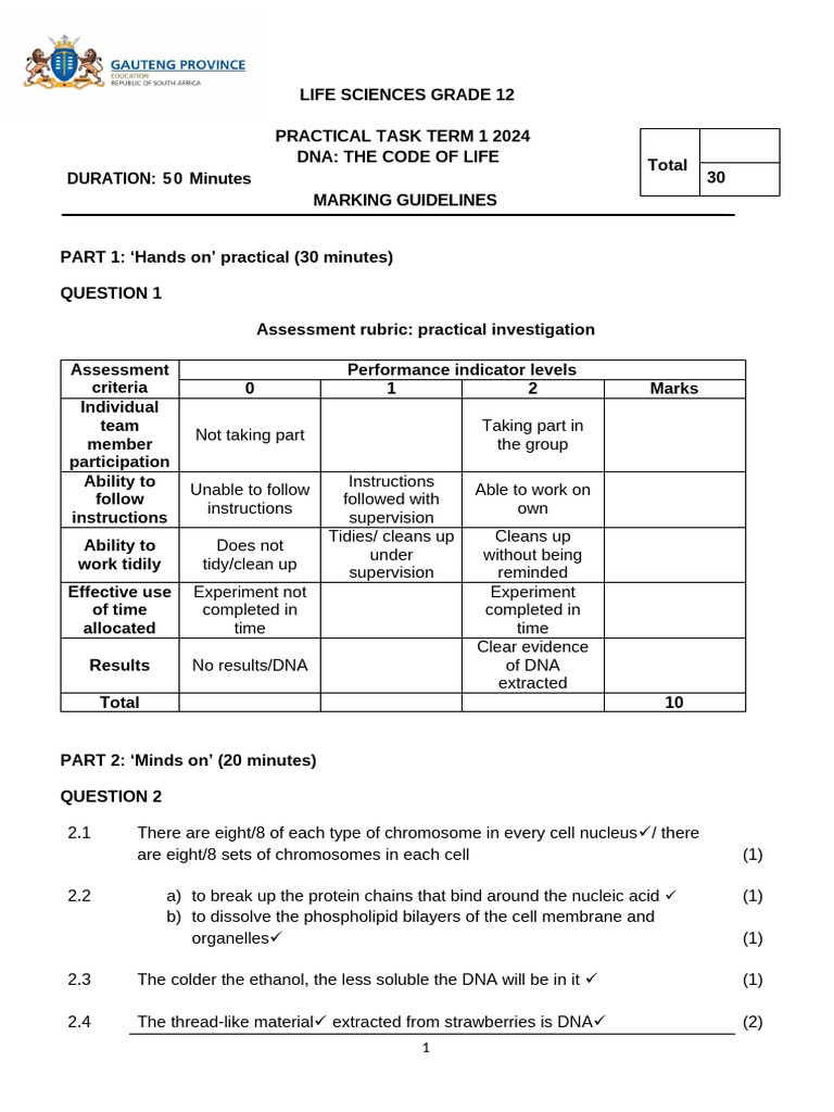 Grade 12 Life Sciences DNA Practical Task | PDF | Cell (Biology) | Dna