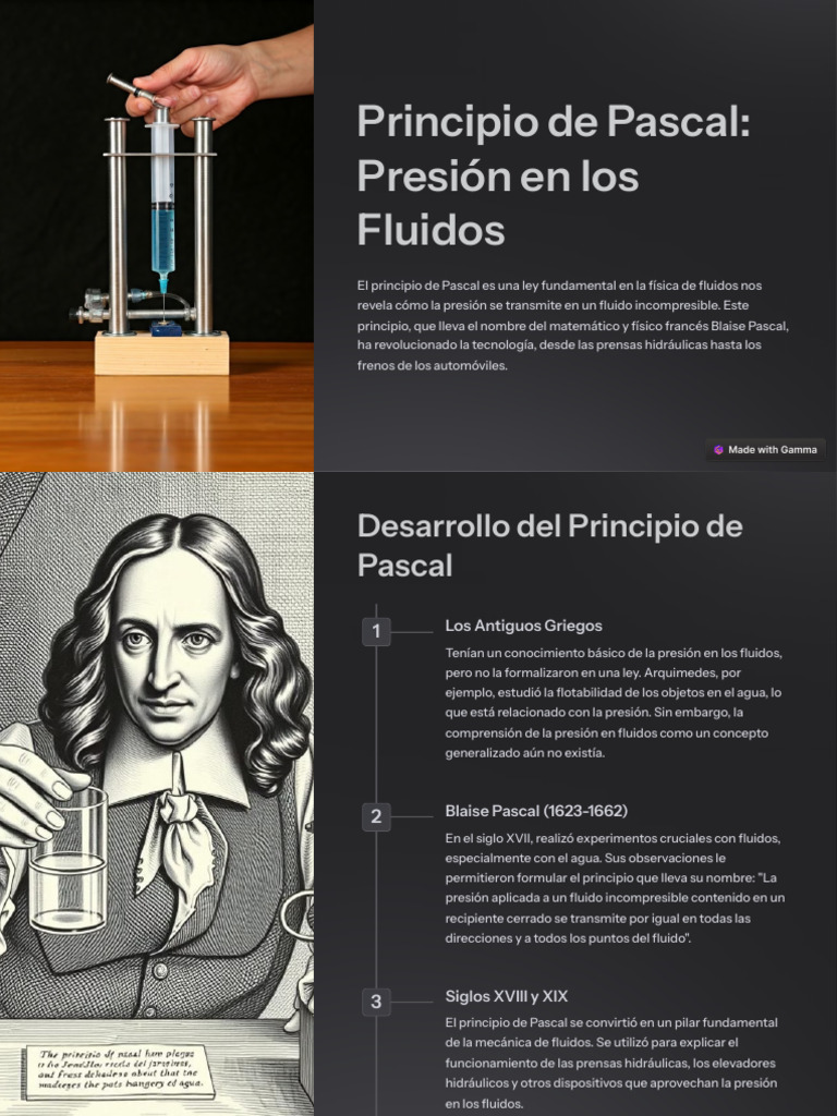 Aplicaciones del Principio de Pascal | PDF | Presión | Materia suave