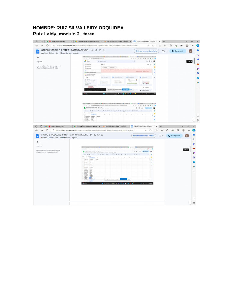 Tarea 1 Modulo 2 Capturas Excel | PDF