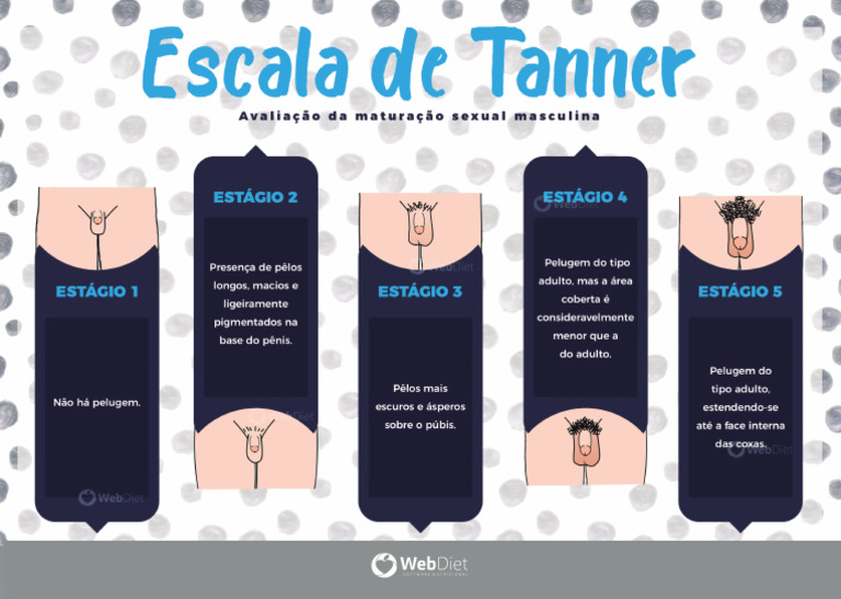 32 - Escala de Tanner (Masculino) | PDF
