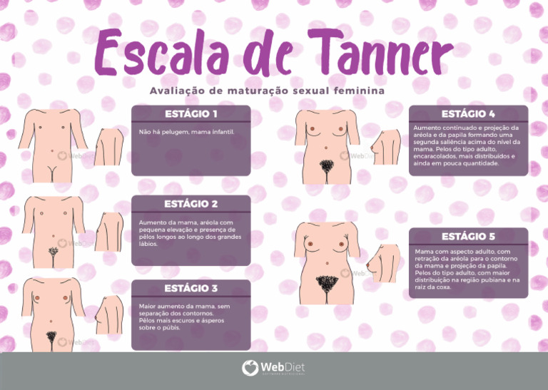 31_-_Escala da Tanner (feminino) | PDF
