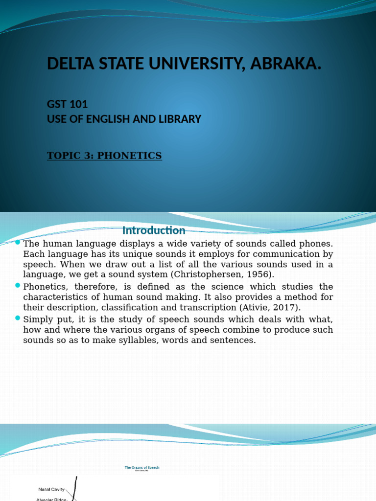 GST 101 CHAPTER 3 | PDF | Syllable | Vowel