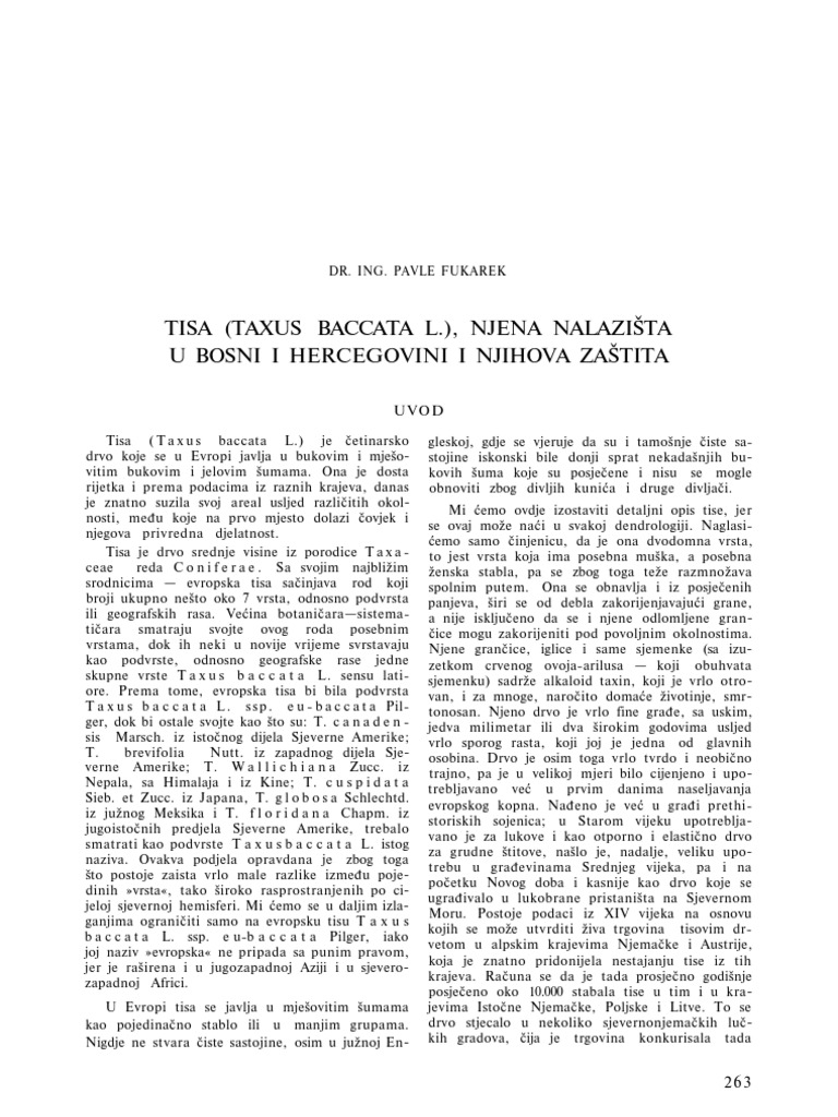 Tisa | PDF