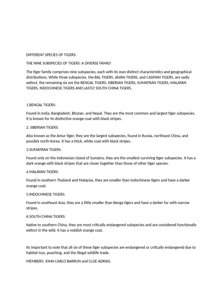 Different Species of Tigers and Pandas. | PDF | Tiger | Giant Panda