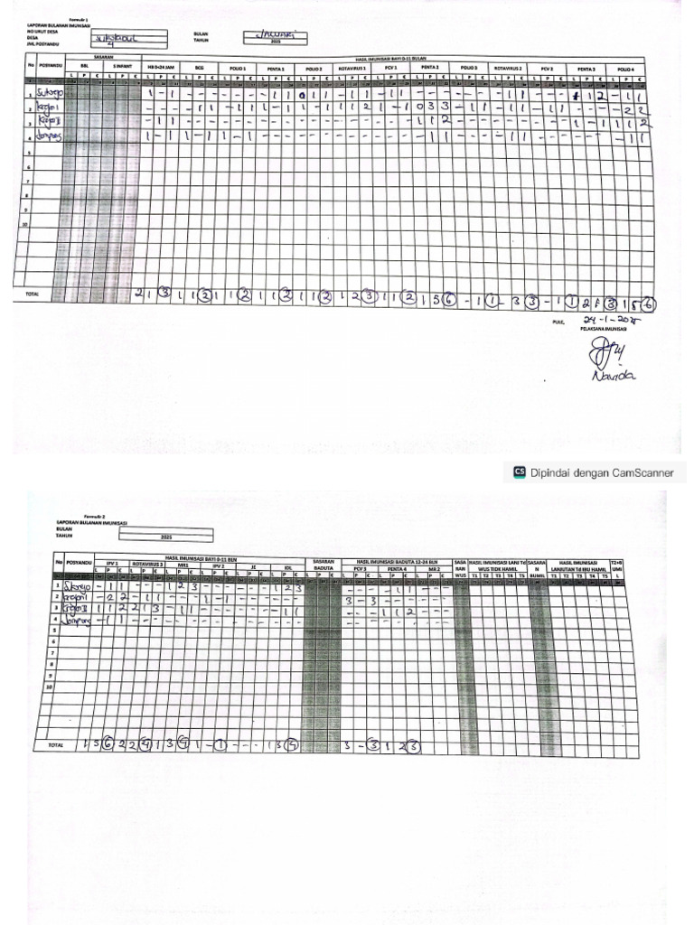 Rekap Imunisasi Bulan Januari 2025 | PDF