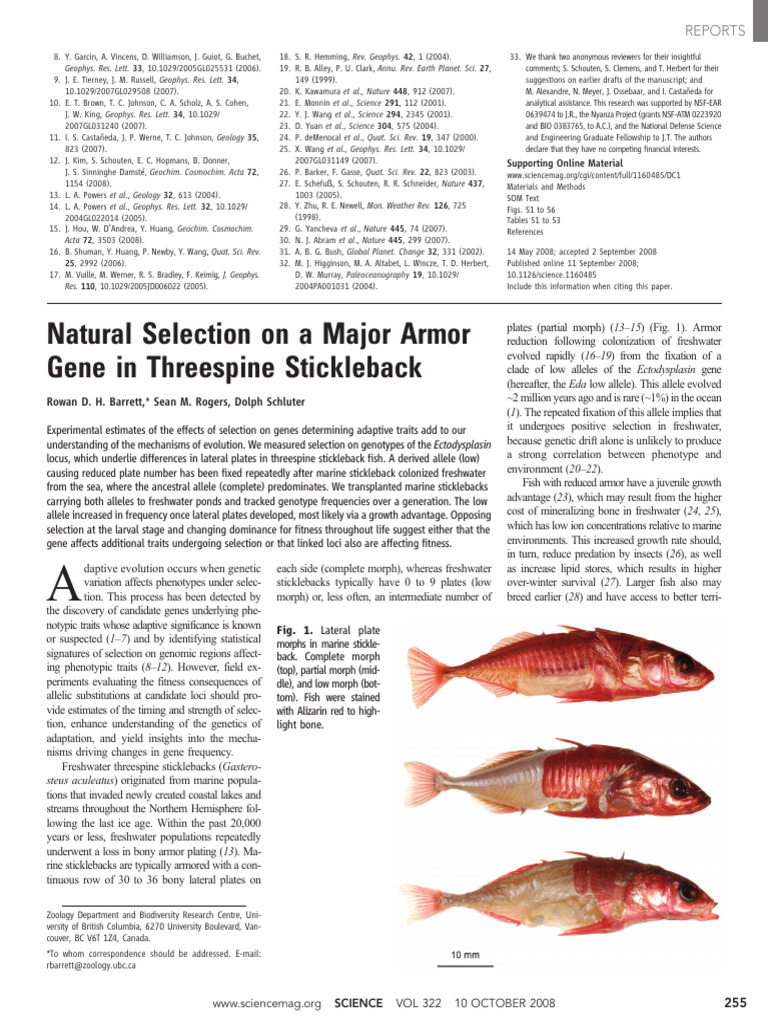 Natural Selection in Stickleback Armor Gene | PDF | Natural Selection ...