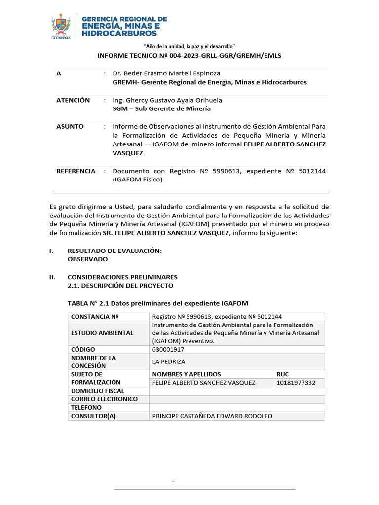 Inf. Tec. 004-Emls | PDF | Minería