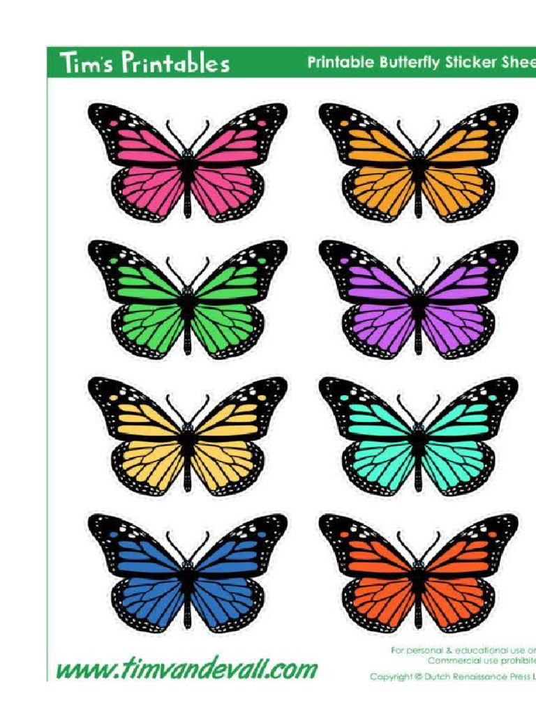 Butterfly | PDF