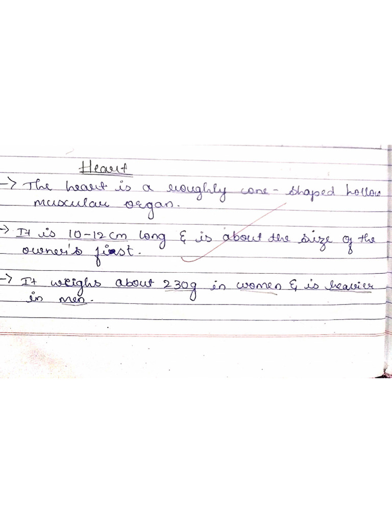 Heart Anatomy Pdf