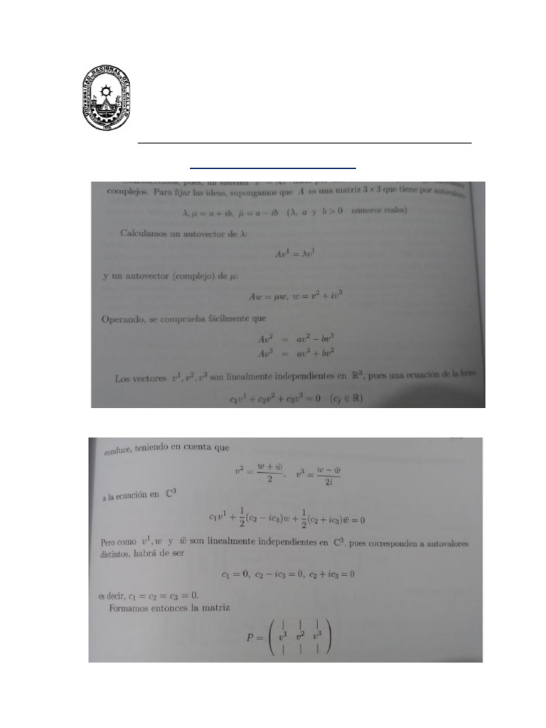 4.7_FORMA CANÓNICA DE JORDAN_VALORES REAL Y COMPLEJO MATRICES DE 3X3 | PDF
