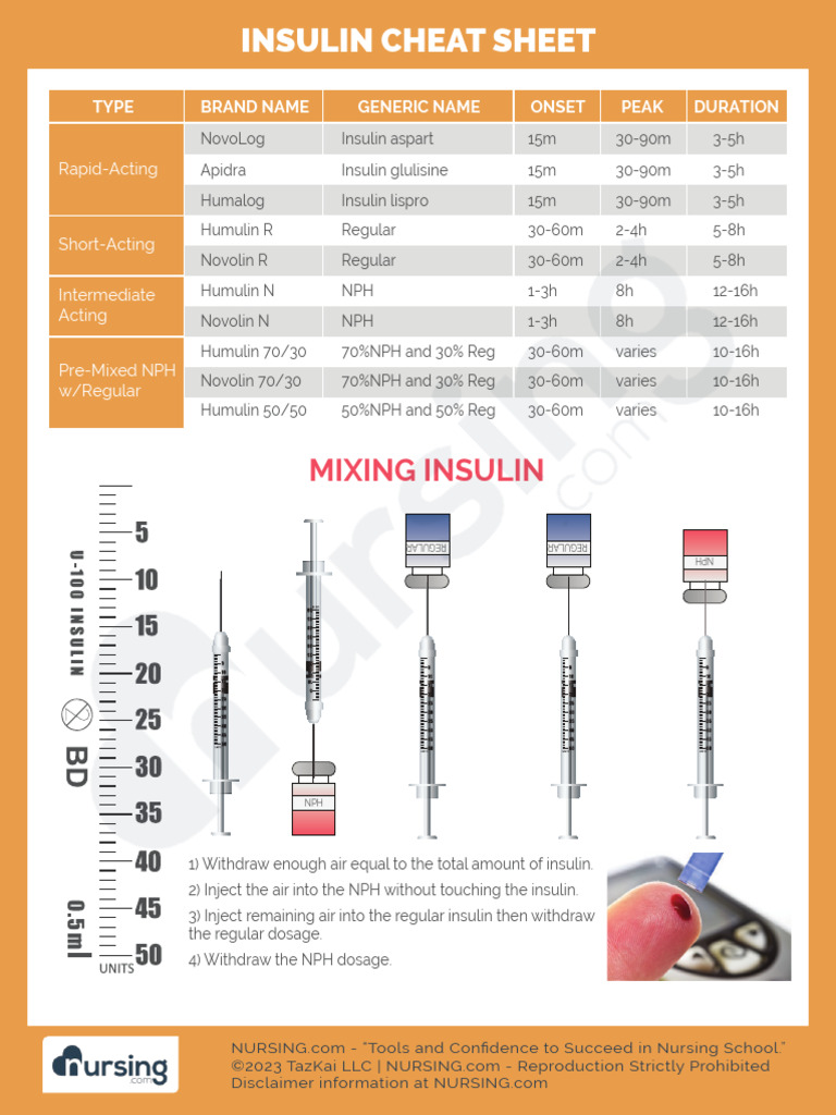 Insulin Cheat Sheet | PDF