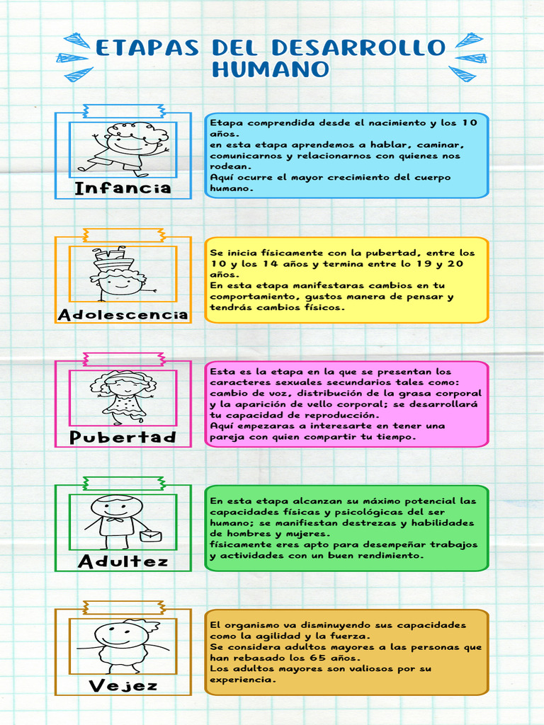 Infografía etapas del desarrollo humano ilustrado colorido | PDF