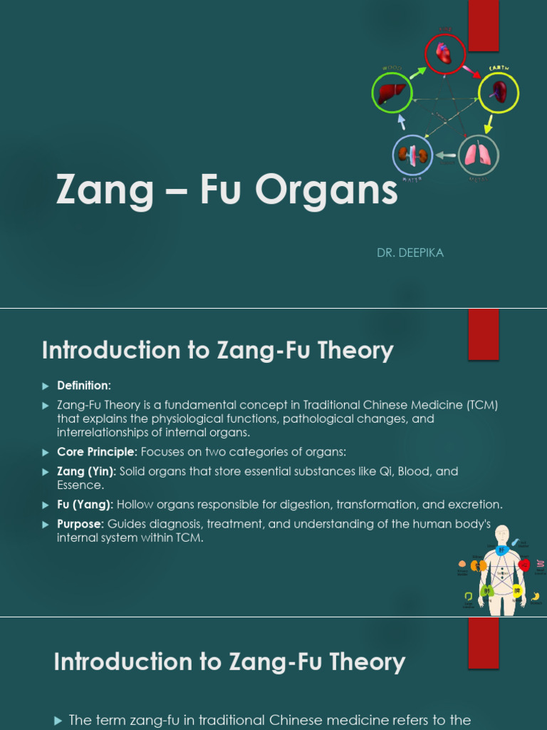 Zang- Fu Theory | PDF | Traditional Chinese Medicine
