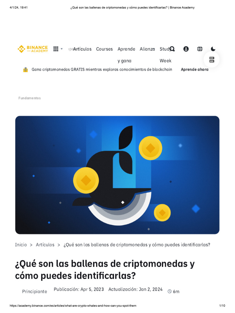 ¿Qué Son Las Ballenas de Criptomonedas y Cómo Puedes Identificarlas - Binance Academy | PDF ...