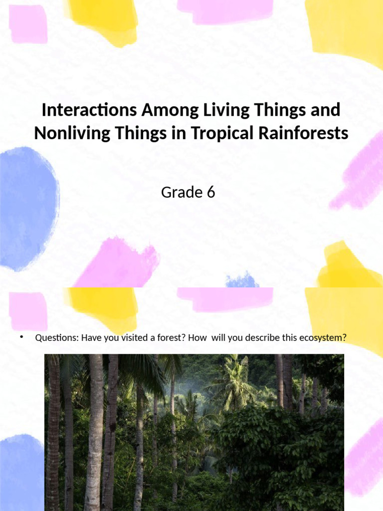 Q4 G6 Tropical Rainforest | PDF | Rainforest | Canopy (Biology)