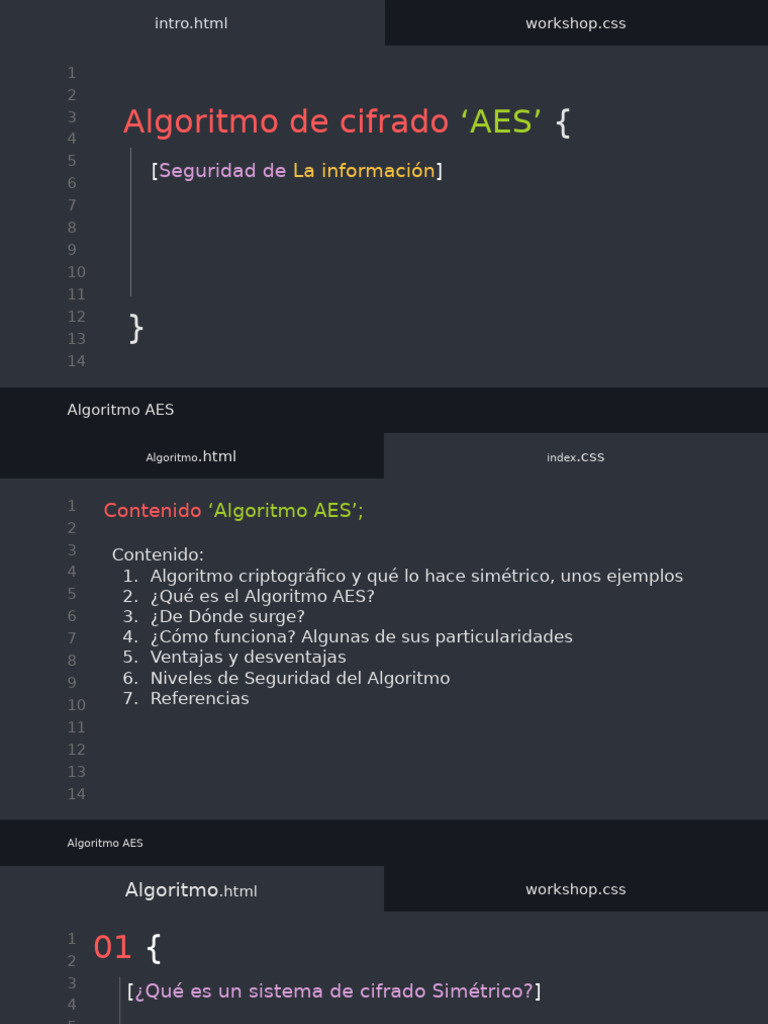 Algoritmo AES | PDF | Criptografía | Secreto