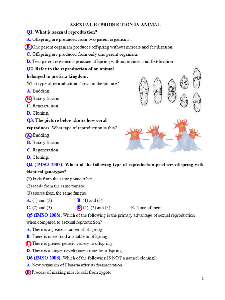 2 - KEY. ASEXUAL REPRODUCTION IN ANIMAL - HW.docx | PDF | Sexual ...