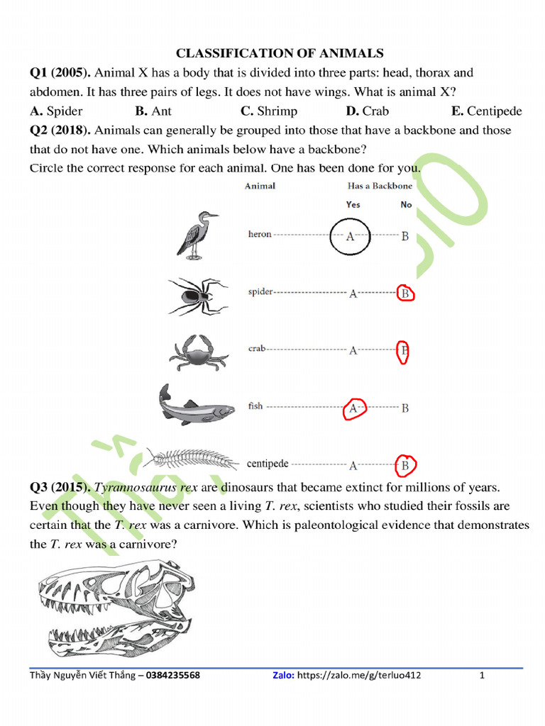 HW - Classifying Animals | PDF