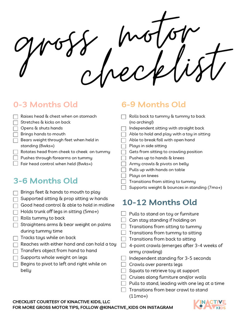 Gross Motor Checklist 2 3 | PDF