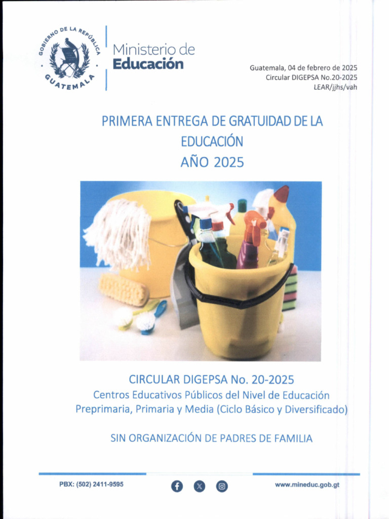 Circular Digepsa 20-2025 | PDF