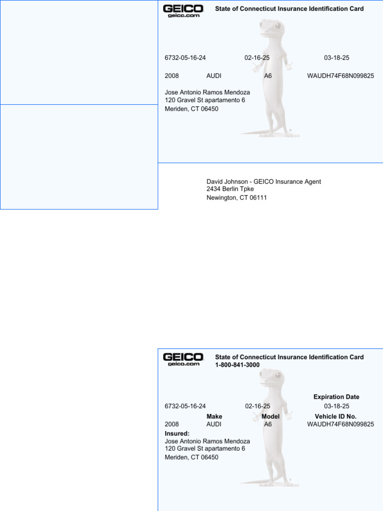 GEICO Insurance Policy ID Card Details | PDF | Insurance