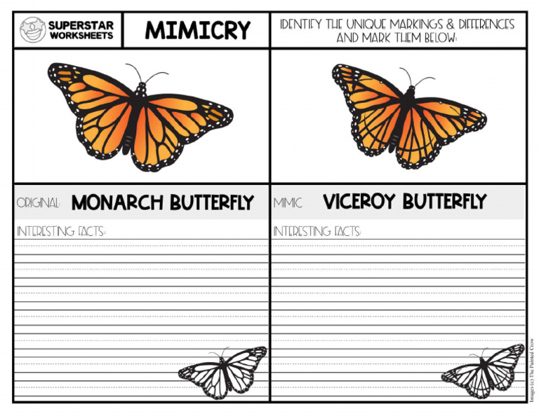 Mimicry Monarch Viceroy 2 | PDF