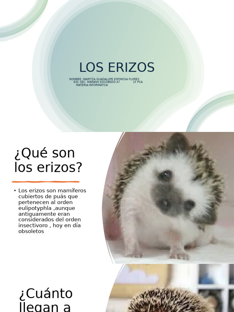 Cosas de Erizos | PDF