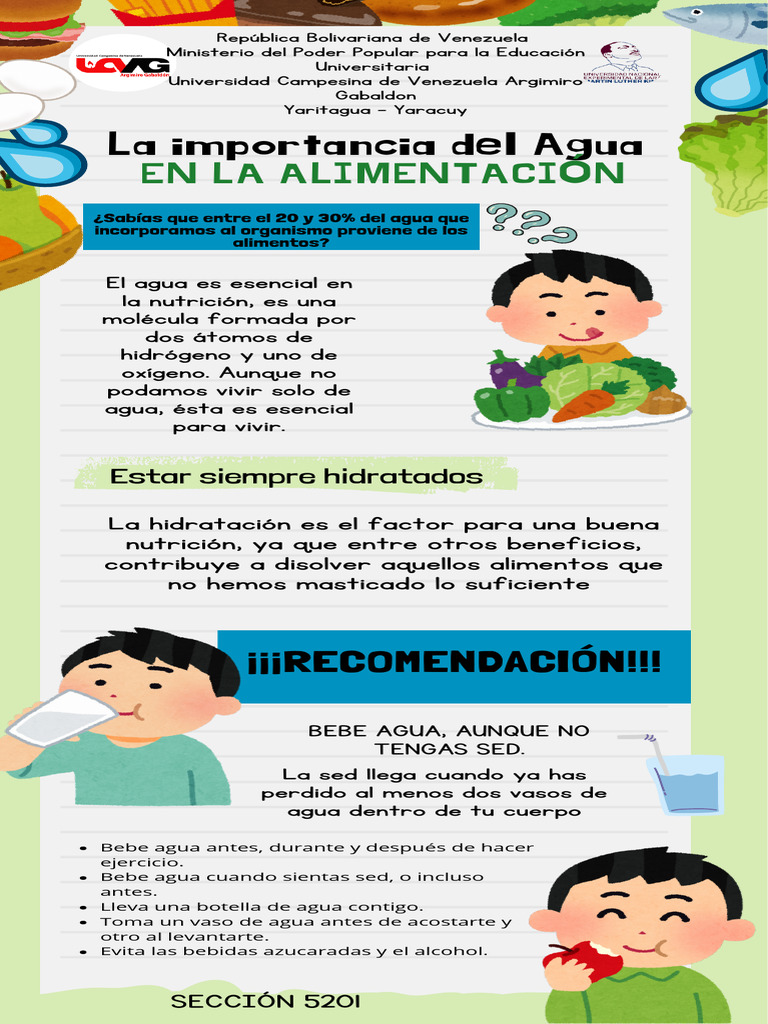 Infografía - El Agua en La Alimentación | PDF