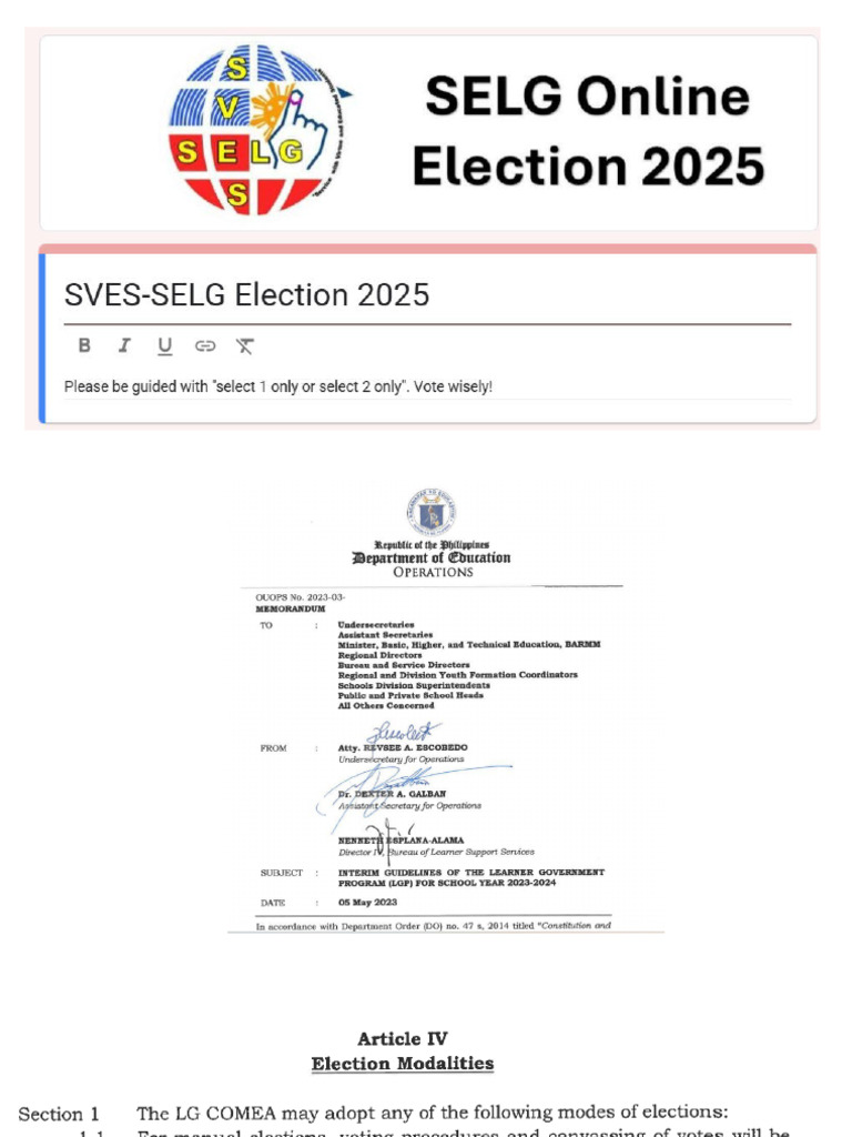SELG - Online Election | PDF