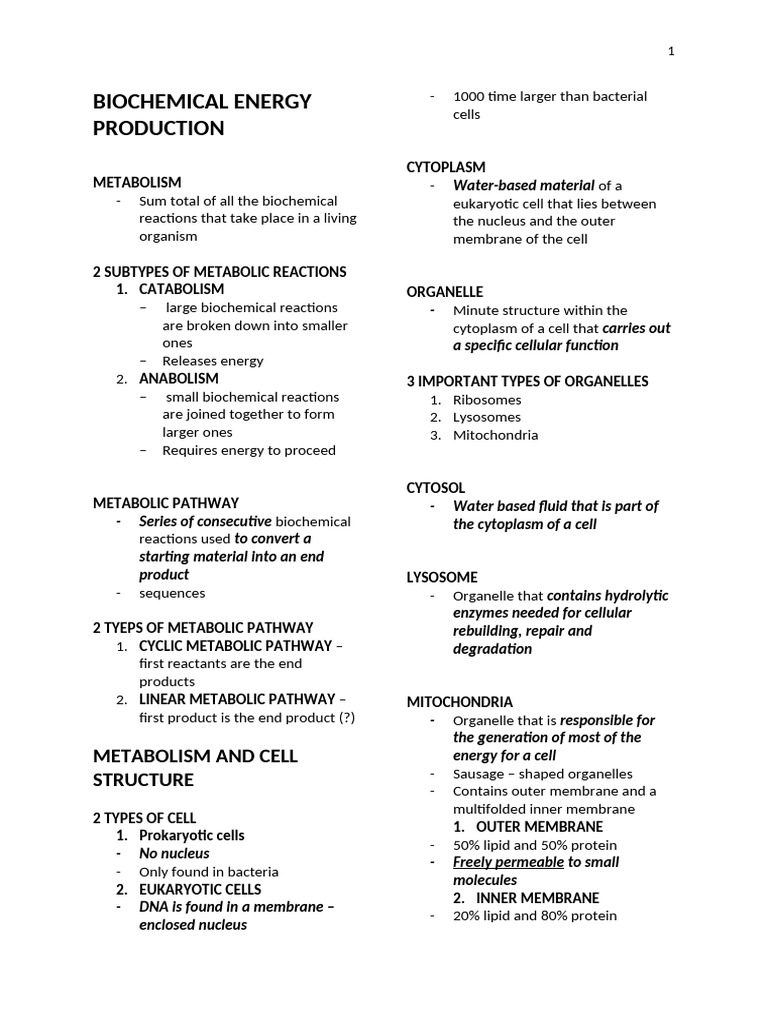 Biochemical Energy & Metabolism | PDF | Cell (Biology) | Metabolism