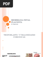 Evolución de la Decidua Capsular | PDF | Placenta | Feto