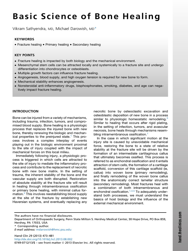 Basic Science of Bone Healing | PDF | Bone | Osteoblast