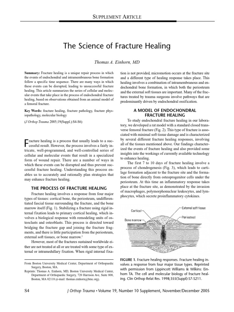 The Science of Fracture Healing | PDF | Bone | Osteoblast