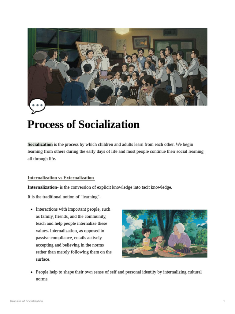 Process_of_Socialization-2 | PDF | Socialization | Knowledge