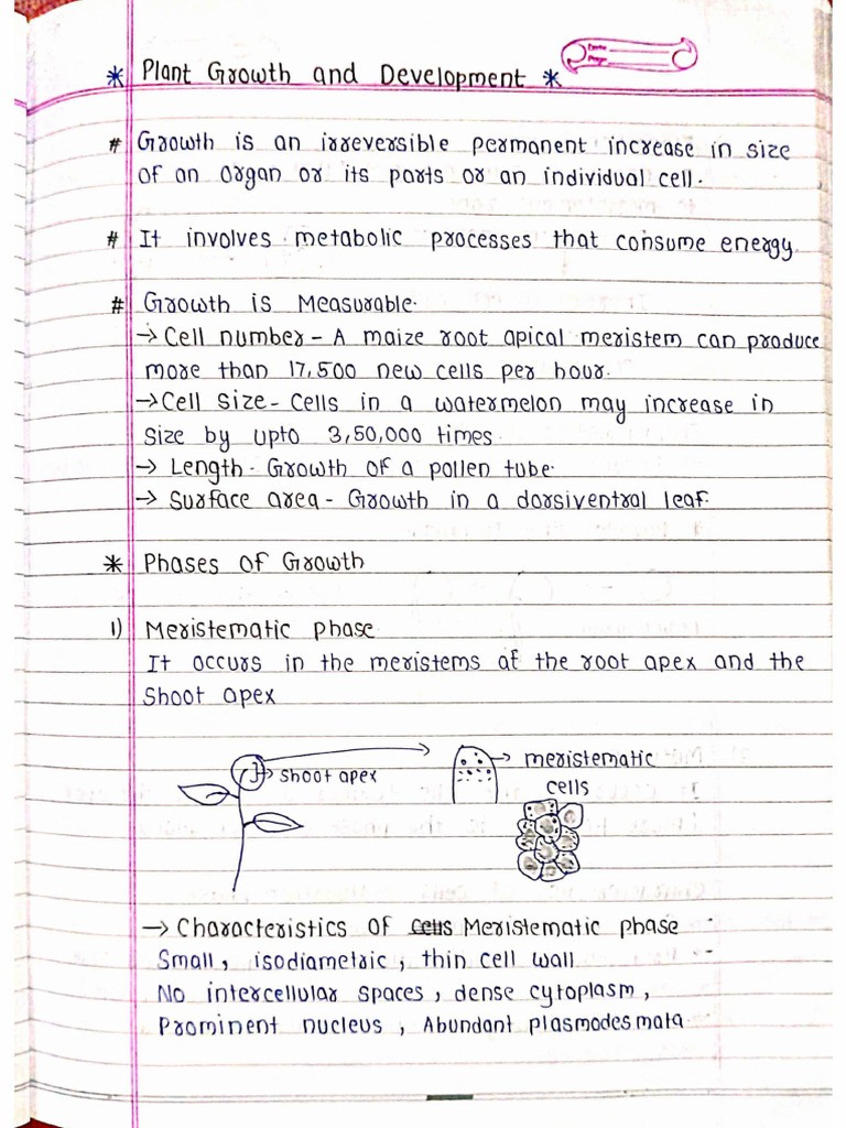 Plant Growth and Development | PDF