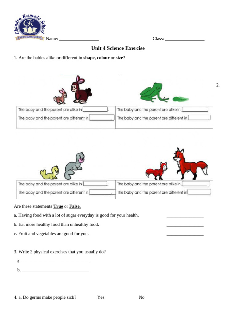 Unit 4 Science Exercise for Kids | PDF