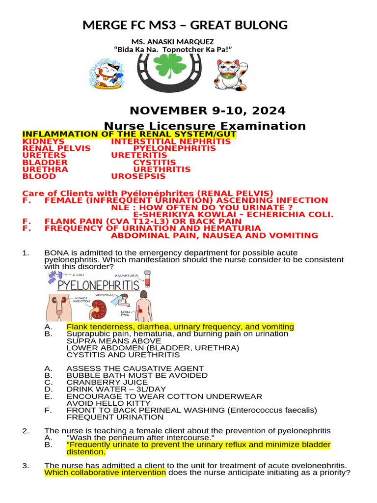 FC Ms3 Great Bulong Nov 6 2024 Ratio Online | PDF | Urinary Tract Infection | Kidney