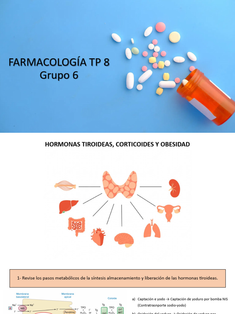 PPT Fco TP8 | PDF | Osteoporosis | Medicina CLINICA