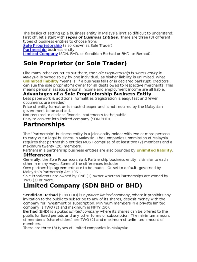 The Basics of Setting Up A Business Entity in Malaysia Isn | PDF | Sole ...