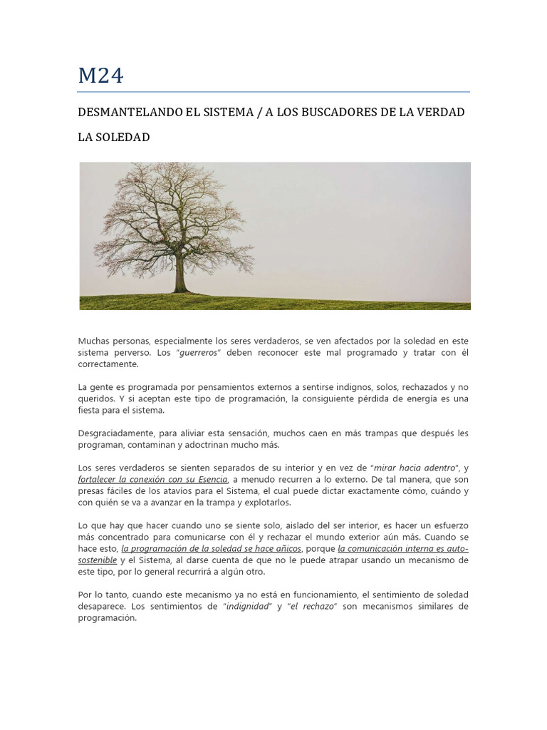 M24 - La Soledad | PDF | Soledad