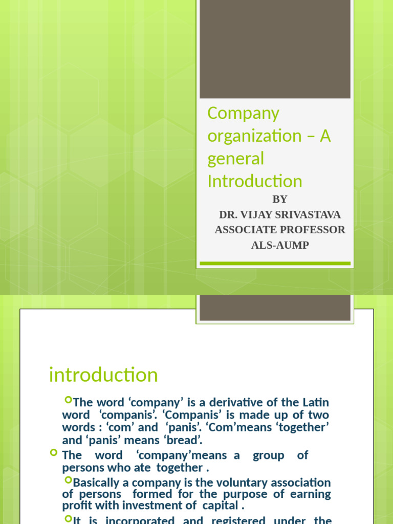 Comany Organisation - An Introduction | PDF | Companies | Ownership