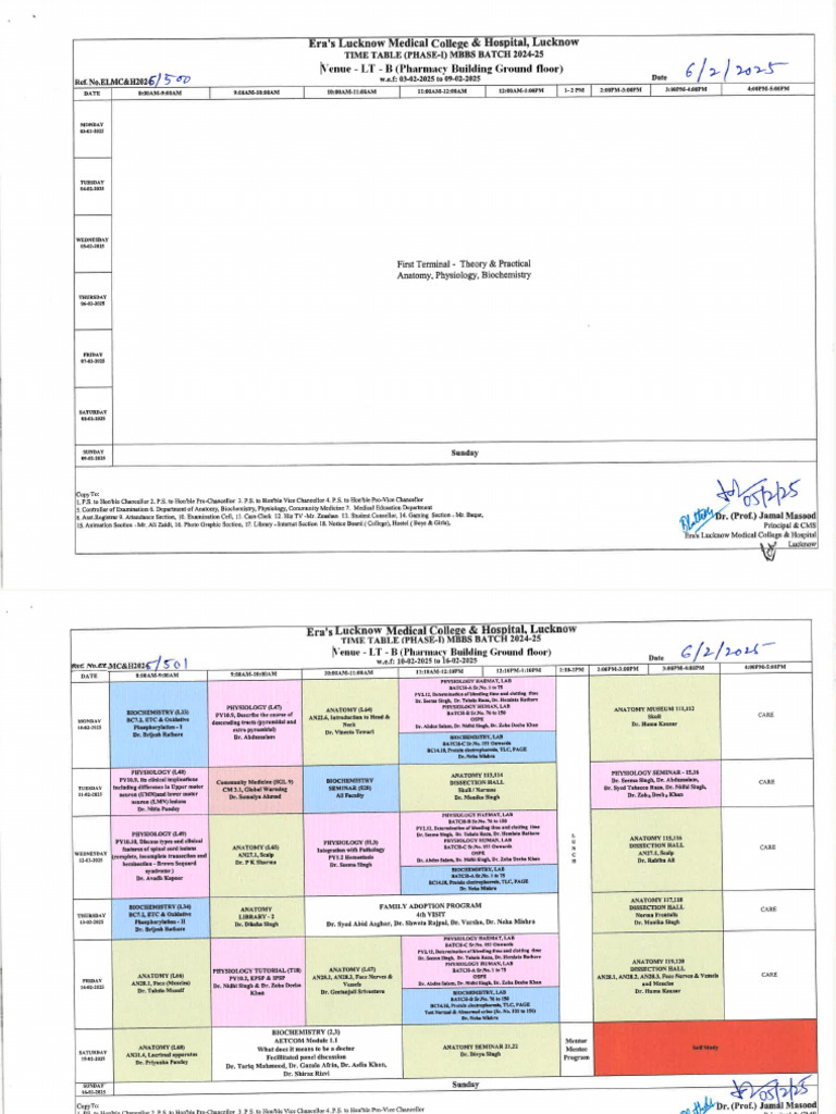 Time Table MBBS Phase 1 Batch 2024-25 (6.2.2025 | PDF