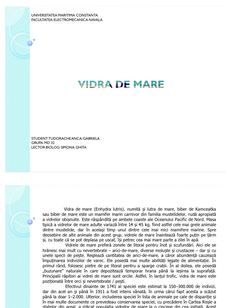 Vidra de Mare | PDF