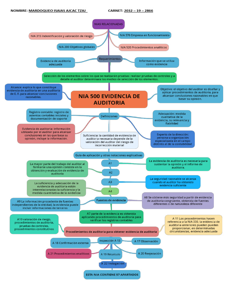 Mapa Conceptual Nias 500 y 501 | PDF